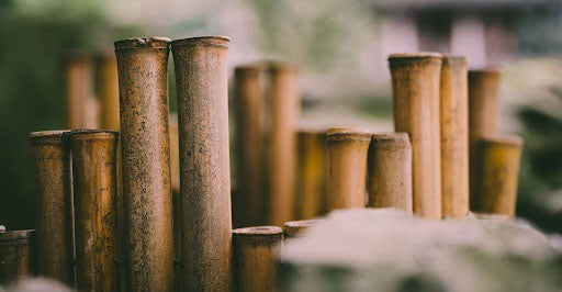 Policosanol: Nature's Answer To Lowering Cholesterol